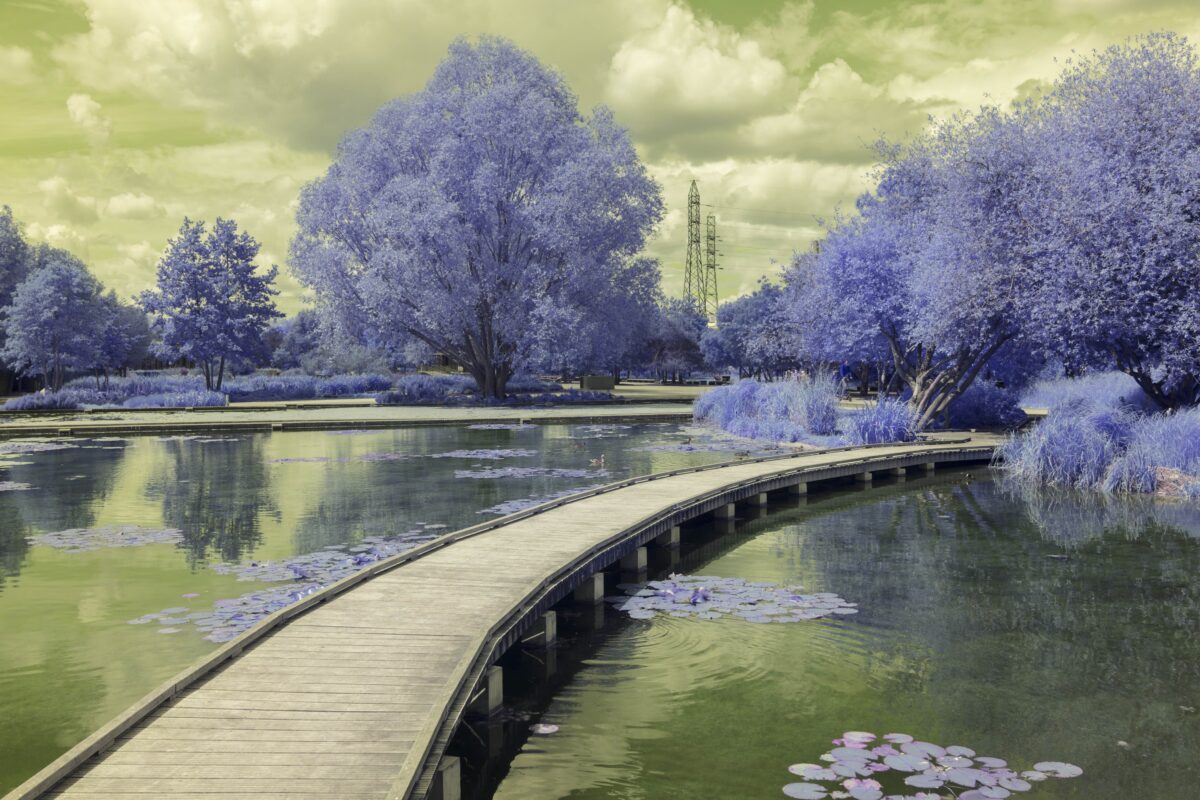 KolariVision adds new Candy Chrome IR Filter - Canon Rumors