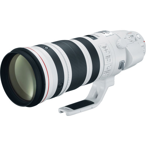 Predicted Canon RF-S & RF Lens Releases In 2025 - Canon Rumors Predicted Canon RF-S & RF Lens Releases In 2025 - Canon Rumors